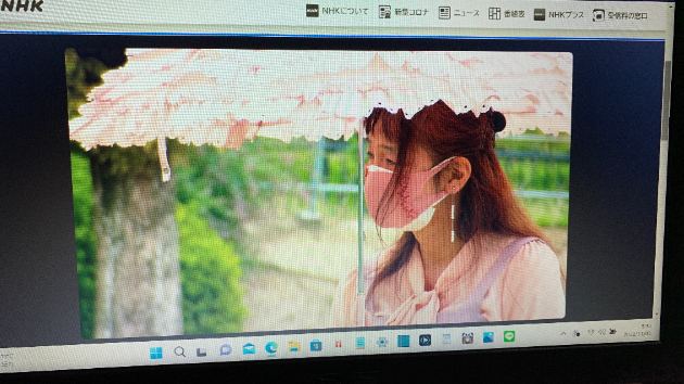 ドライフラワーへ｜虎紫志織＠同じ目線の『駆け込み寺』｜coconalaブログ